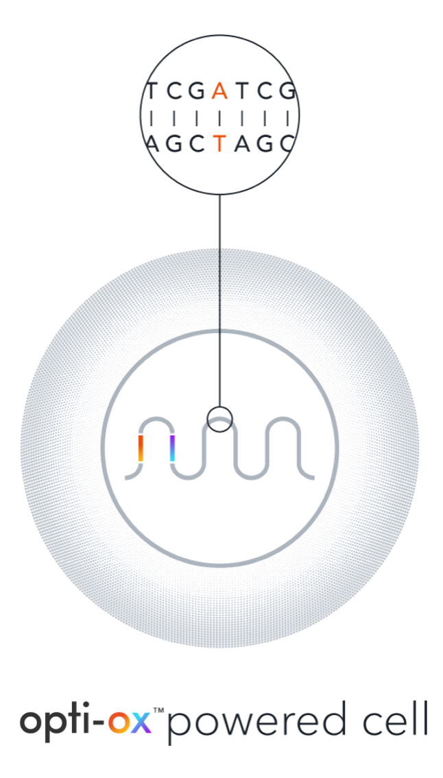 Custom iPSC-Derived Disease Model Offering | Custom Cells | bit.bio